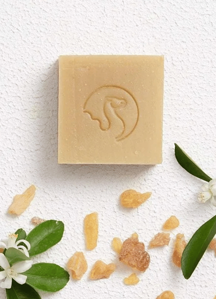 Camel+Goat Milk Skincare – Moroccan Elixir